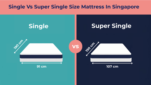 Single vs Super Single Bed: Singapore Size Guide 2025 – Sleep Space