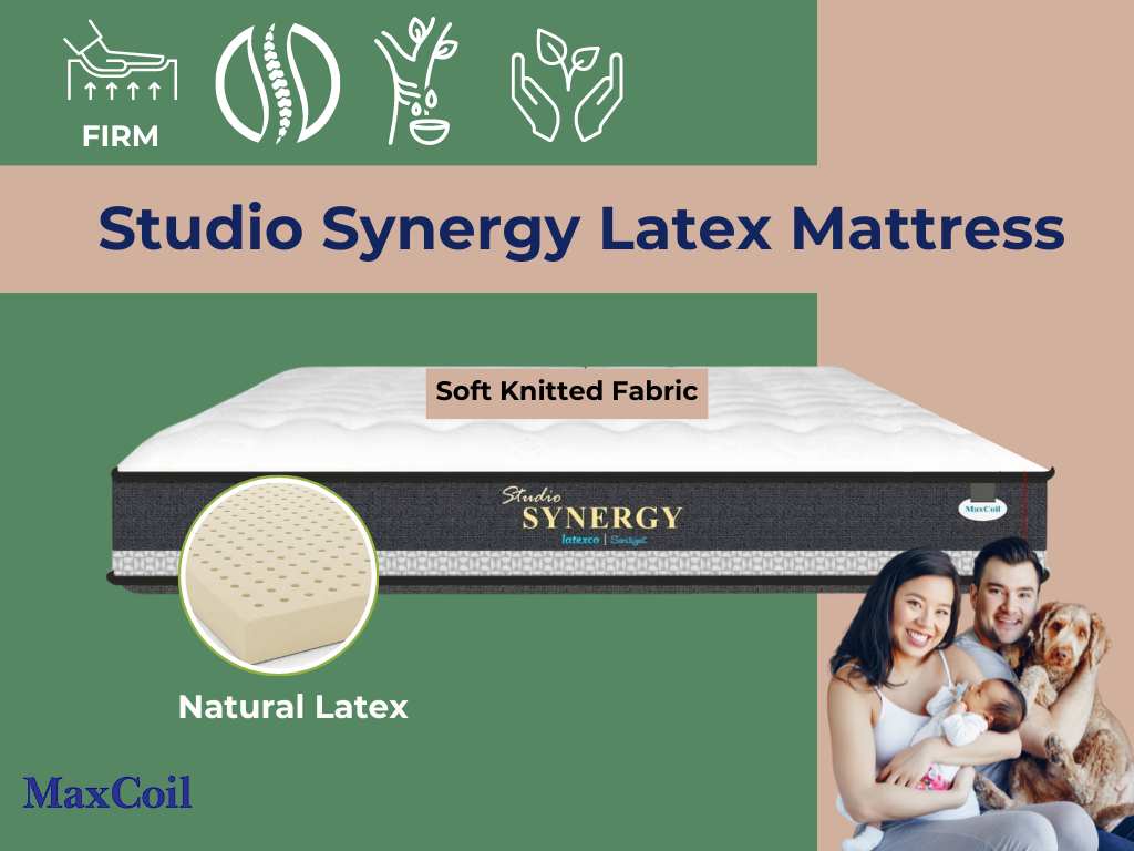 MaxCoil Studio Synergy Latex Foam Mattress (9 inch) – Sleep Space